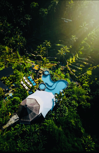 Ubud: Best Cretya Day Club In Ubud & Waterfalls Private Tour | Power ...