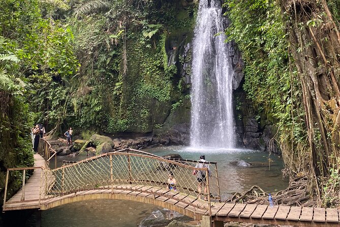 Ubud: Monkey Forest, Rice Terrace, Hidden Waterfall, Water Temple ...