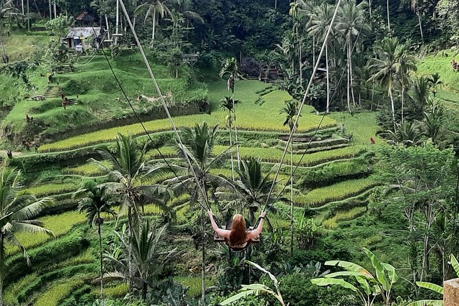 Ubud Tour - Highlights of Ubud | Power Traveller
