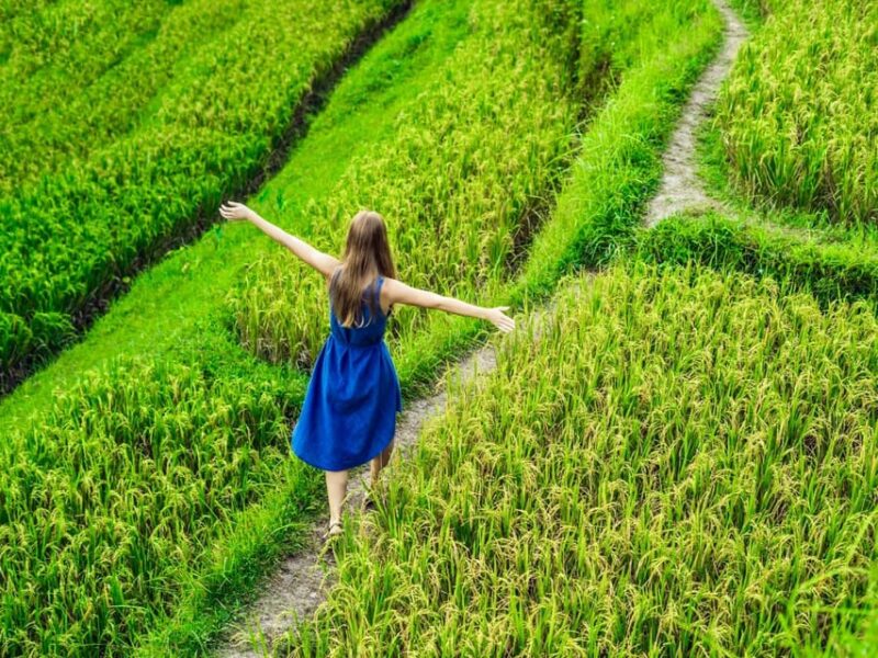 Ubud: Waterfalls, Sacred Monkey Forest & Rice Terraces Tour | Power ...