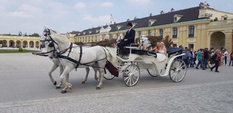 Vienna: Carriage Ride Through Schönbrunn Palace Gardens | Power Traveller