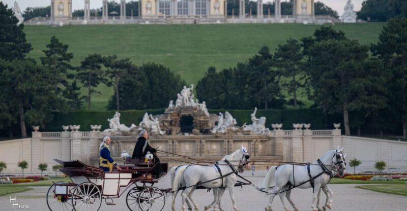 Vienna: Carriage Ride Through Schönbrunn Palace Gardens | Power Traveller