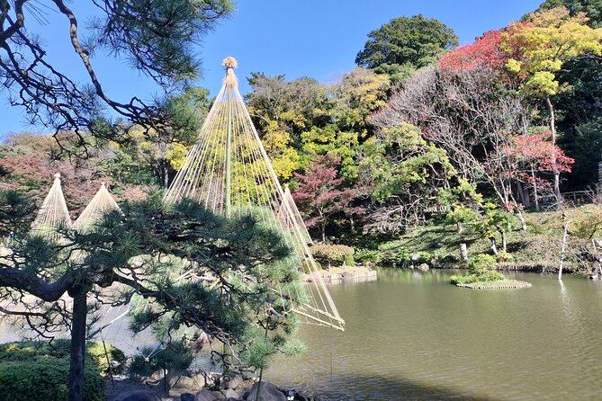 Walking Discovery Tour of Hidden Neighborhoods of Tokyo | Power Traveller
