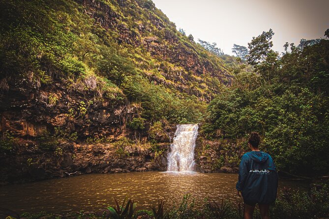 Waterfall Hike in Hawaii Rainforest Trail | Power Traveller