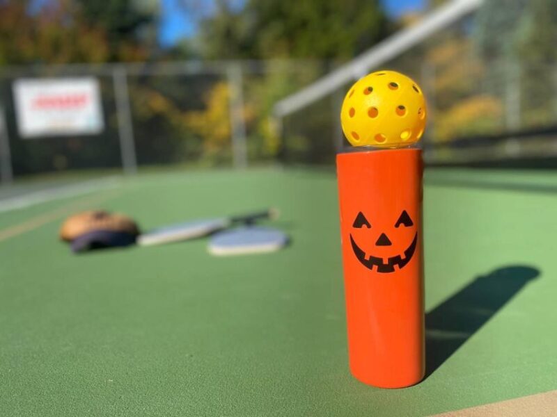 Wild Pickleball: an Experience of Paddle, Nature and Fun | Power Traveller