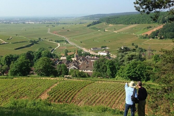 Wine Walking Tour Through the Burgundian Vineyards - 2h | Power Traveller